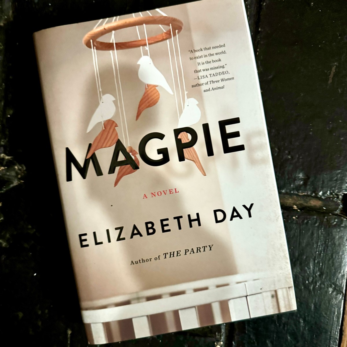 Book Review: Magpie by Elizabeth Day – Words Per Mile